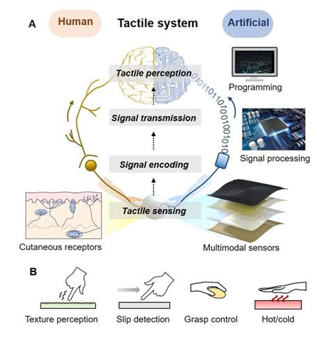 Breakthrough In Real Time Multimodal Tactile Technology Terraroads Equipment Equipment For