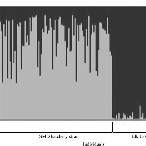 Results Of Bayesian Clustering Showing Posterior Probabilities Of