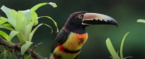 你也能懂 如此多异质性稳健did估计方法实际就1种关键策略 3个类别 不要搞深奥和复杂了！ 知乎