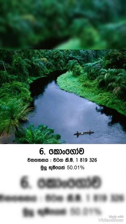 ලොව වනාන්තර වලින් පොහොසත් රටවල් 10 ක් 😱 ඔබ නැරඹිය යුතුම වීඩියෝවකි 😱😱😱 Youtube