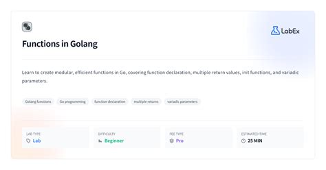 Functions In Golang Labex