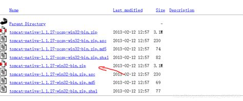 控制台报错the Apr Based Apache Tomcat Native Library Failed To Load