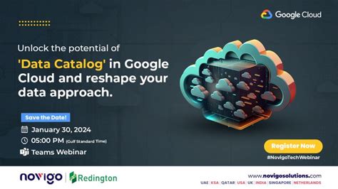 Datacatalog Dataengineers Datascientists Dataanalysts Itprofessionals