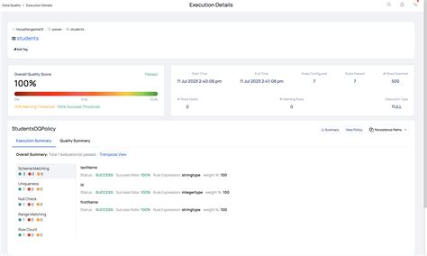 viewing a data quality policy execution result torch
