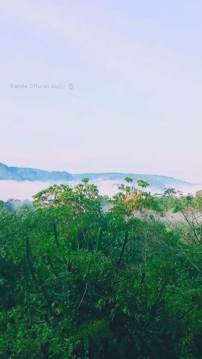 පරිසරය කොතරම් සුන්දරද ☘️🌹🥀 The Environment Is So Beautiful In Sri Lanka 🇱🇰 Travel Nature