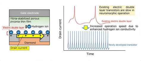 Research Team Develops The Fastest Neuromorphic Electric Double Layer Research Team Develops The Fastest Neuromorphic Electric Double Layer
