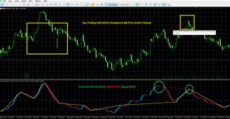 Optimized Macd Divergence Indicator Mt5 Aierior