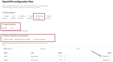 How To Install And Use Protonvpn On Raspberry Pi Gui And Cli Raspberrytips