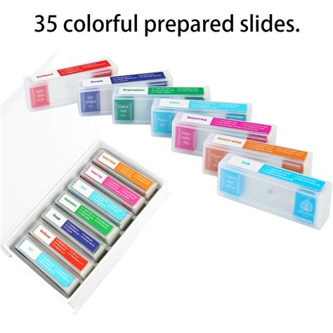 35 48 Piece Of Microscope Specimen Slide Biologica Vicedeal