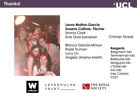 Celebrating The Life And Science Of Sydney Brenner Arantza Barrios Sex And Plasticity