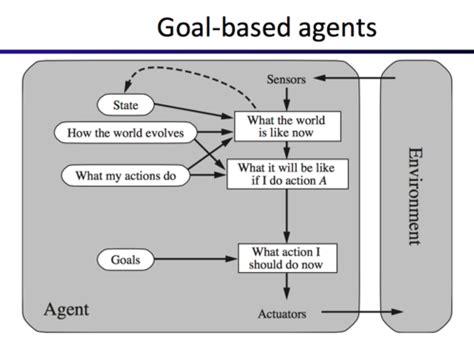 Midterm Review Flashcards Quizlet
