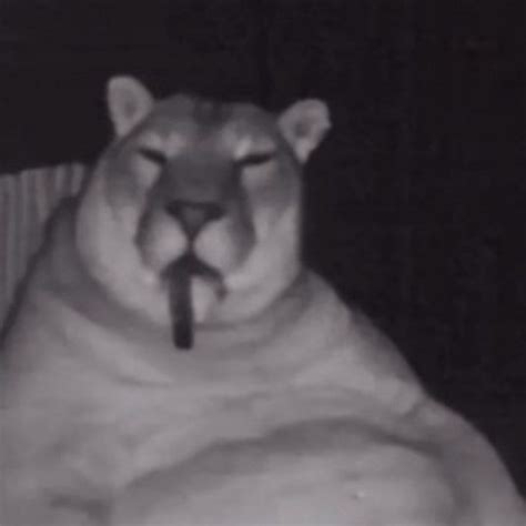 Jesse S🤙☃️ Runmerip Snapchat Stories Spotlight And Lenses