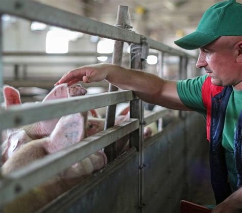 Emplois Conception Ro Main Inc Profil De Lentreprise