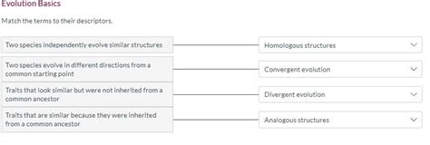 Solved Evolution Basics Match The Terms To Their