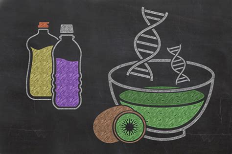basic science understanding experiments 4 3 the beginning of your