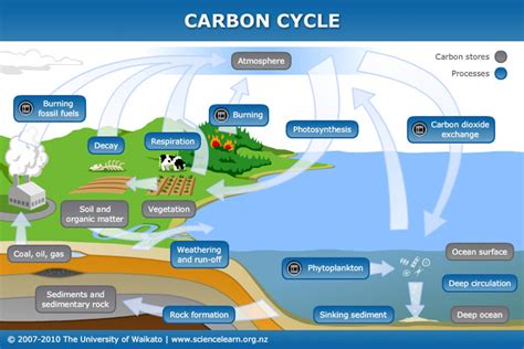 Diagram With Water Cycle Carbon Cycle And Chemical Cycle Des