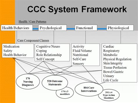 Components Clinical Care Classification System