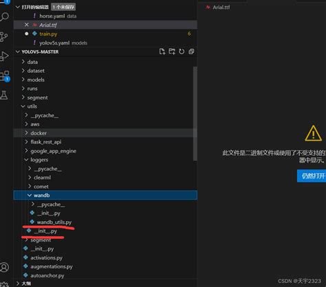 Yolov5 模型训练遇到的问题dont Visualize My Results Csdn博客