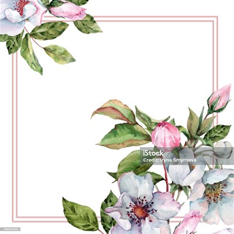 정사각형 꽃 프레임입니다 야생 장미 사과 꽃의 봄 꽃 가지 축제 구성 손으로 그린 수채화 그림은 청첩장 카드 배너를 위해 흰색 배경에 분리되어 있다 각도에 대한 스톡 벡터