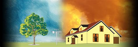 How To Install A Personal Weather Station What To Remember Avoid