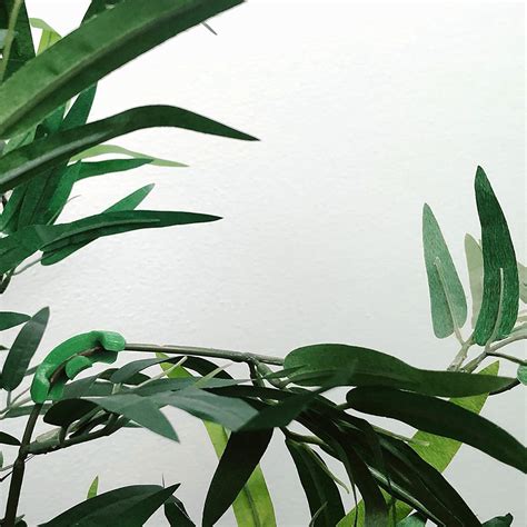 Hmg Graden Plant Bender Voor Lage Stress Traini Grandado