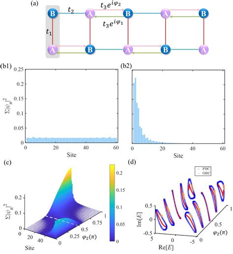 The Modified SSH Model And The NHSE A Schematic Illustration Of A Download Scientific