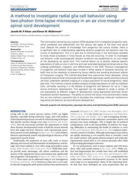 Pdf A Method To Investigate Radial Glia Cell Behavior Using Two Photon Time Lapse Microscopy