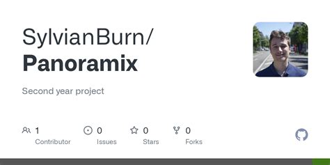Github Sylvianburn Panoramix Second Year Project