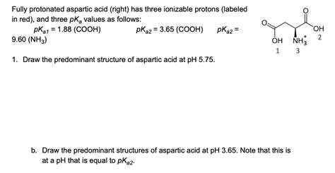 Fully Protonated Aspartic Acid Right Has Three Ionizable Protons