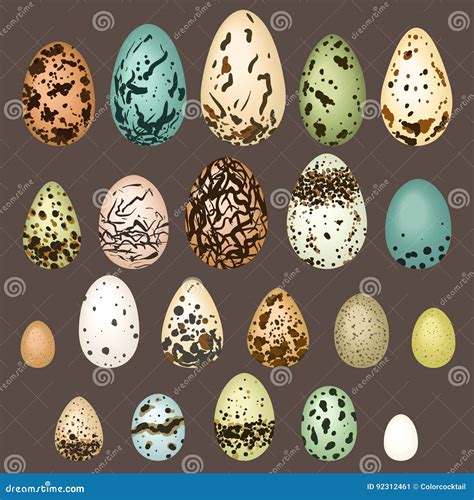 Different Eggs Types Stock Vector Illustration Of Pattern 92312461