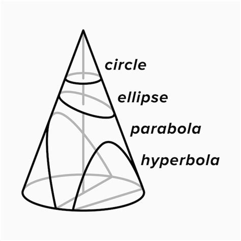 Premium Vector Circle Ellipse Parabola And Hyperbola Curved Conic
