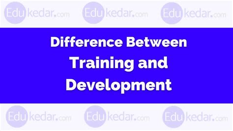Difference Between Training And Development With Examples