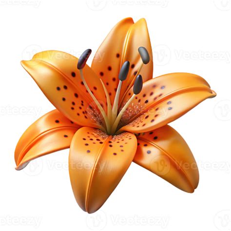 Glorious Tranquil Tropical Isolated Cutout Photorealistic Ultra Detailed Professional Render