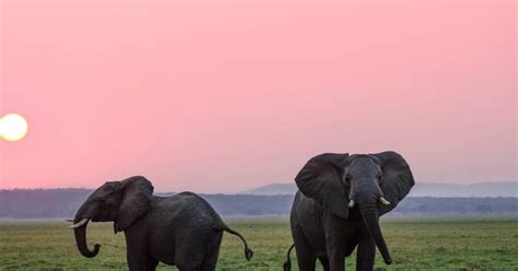 python pytest testing with sqlalchemy for my game