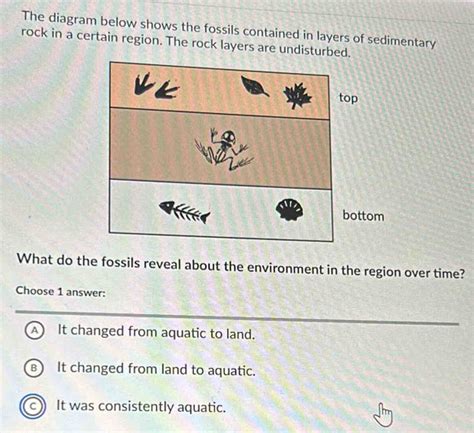 Solved The Diagram Below Shows The Fossils Contained In Layers Of