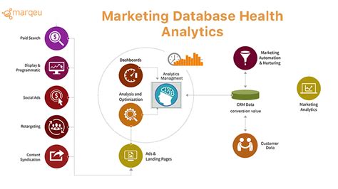 Marketing Database Analytics A Gold Mine