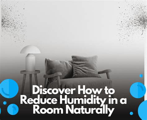 How To Reduce Humidity In A Room Naturally Best Ways