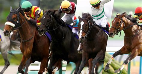 出走馬情報 2024香港カップ Jra Van World 海外競馬情報サイト