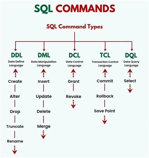 Master Sql With These Essential Commands Muhammad Salman