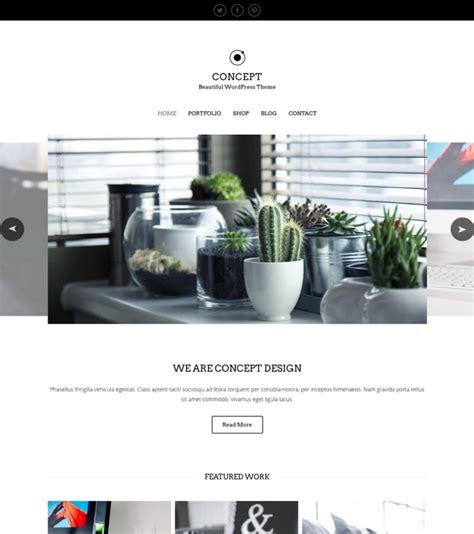 concept wordpress theme
