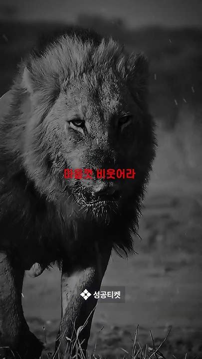 실패를 하지 않는 것이 진정한 실패다 Youtube