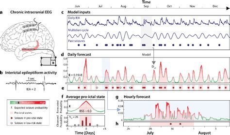 Figure 1 From Forecasting Seizure Risk In Adults With Focal Epilepsy A