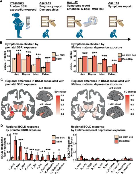Qanda Ssri Use In Pregnancy And Risk Of Depression In Teens