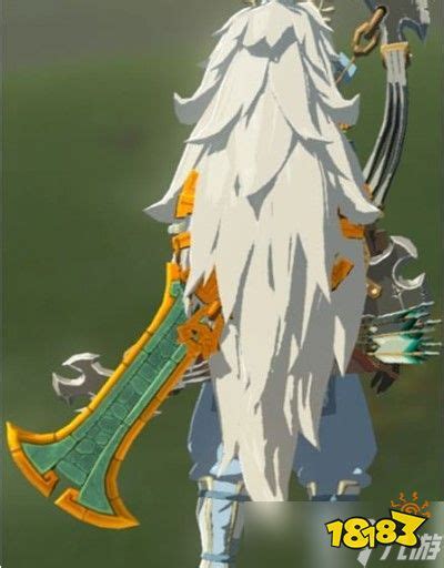 《塞尔达传说王国之泪》精灵套获得方法攻略