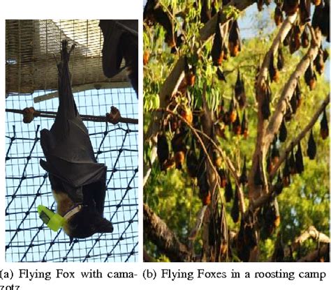 Figure 1 From Trajectory Approximation For Resource Constrained Mobile