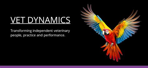 Vet Dynamics Contribution Compass