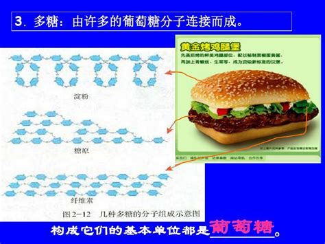 Dna Rna Word