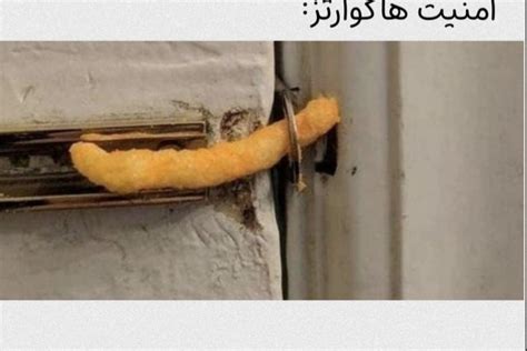 میم هری پاترررر تستچی