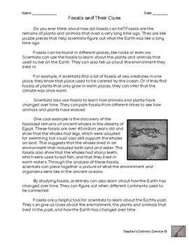 Fossils And Their Clues Rd Grade Comprehension Reading TPT