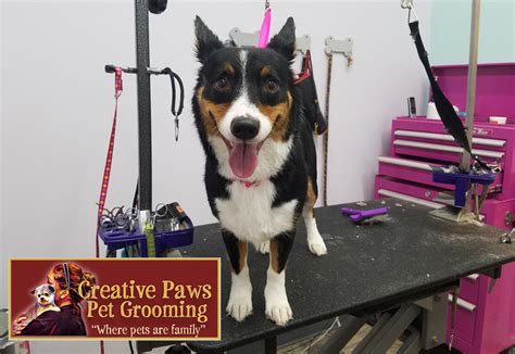 Creative Paws Pet Grooming My Home Town Values Anoka County